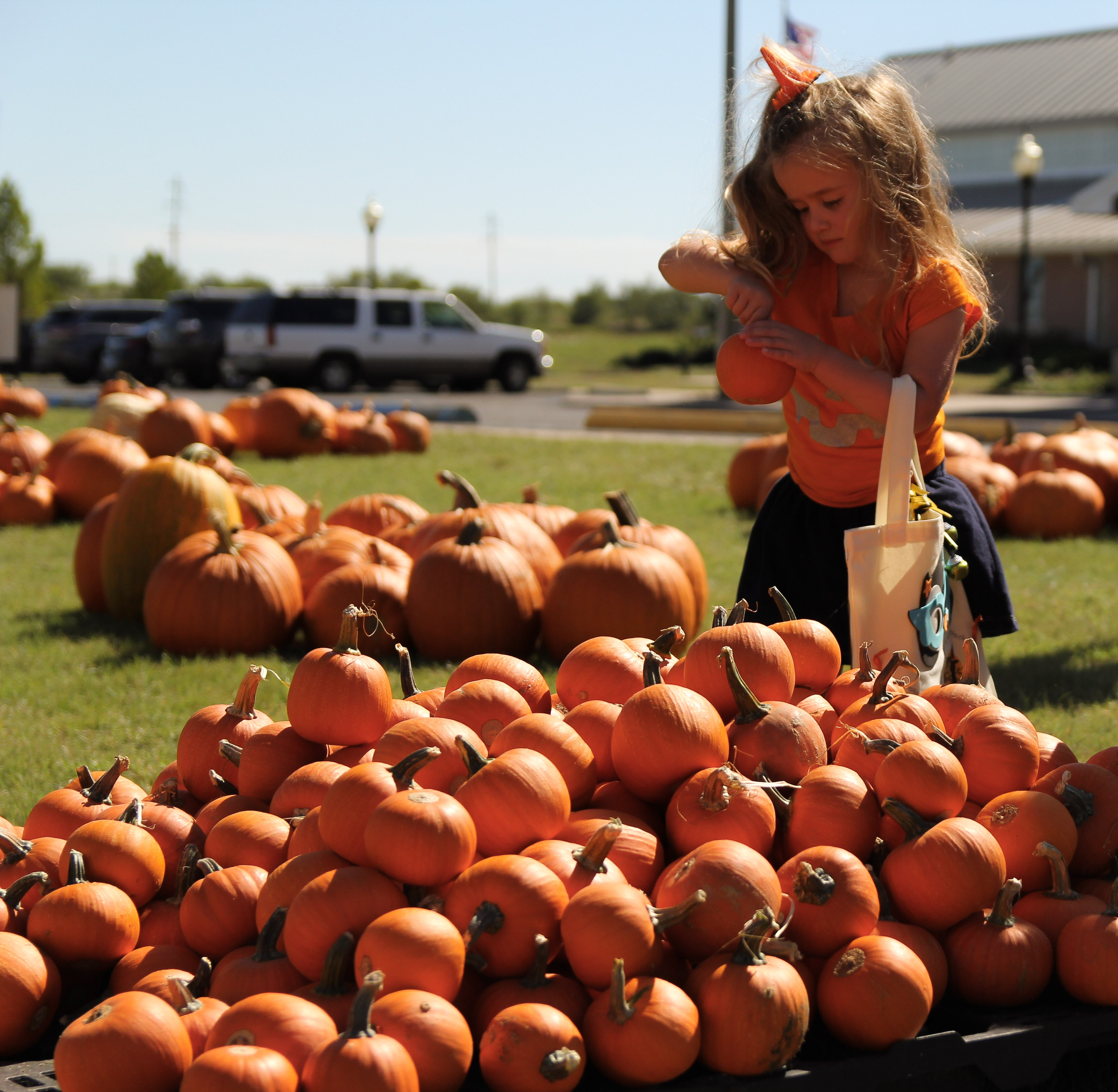Northside pumpkin patch opens for fundraising - The Optimist
