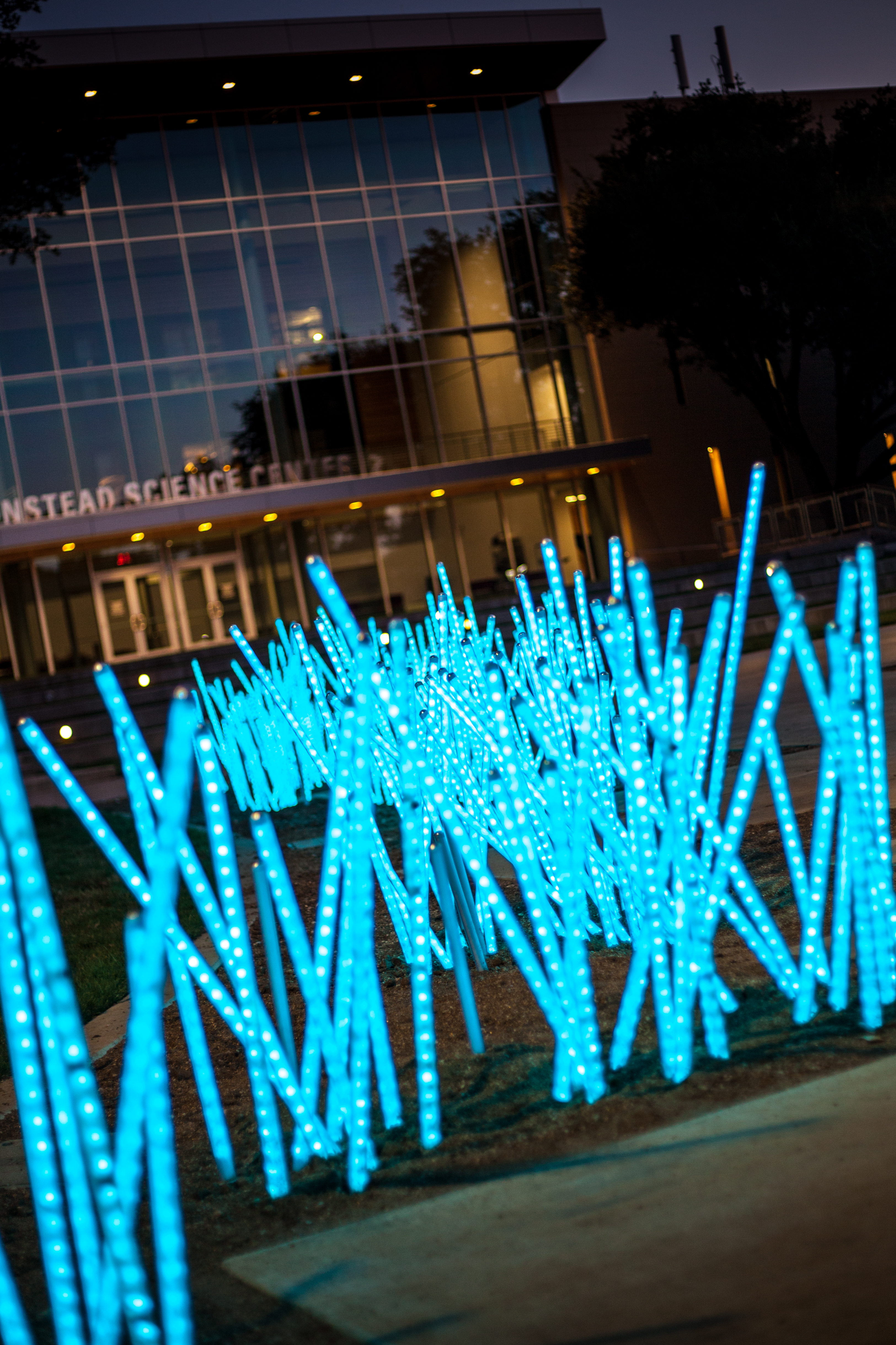 Lightwalk receives international award recognition - The Optimist