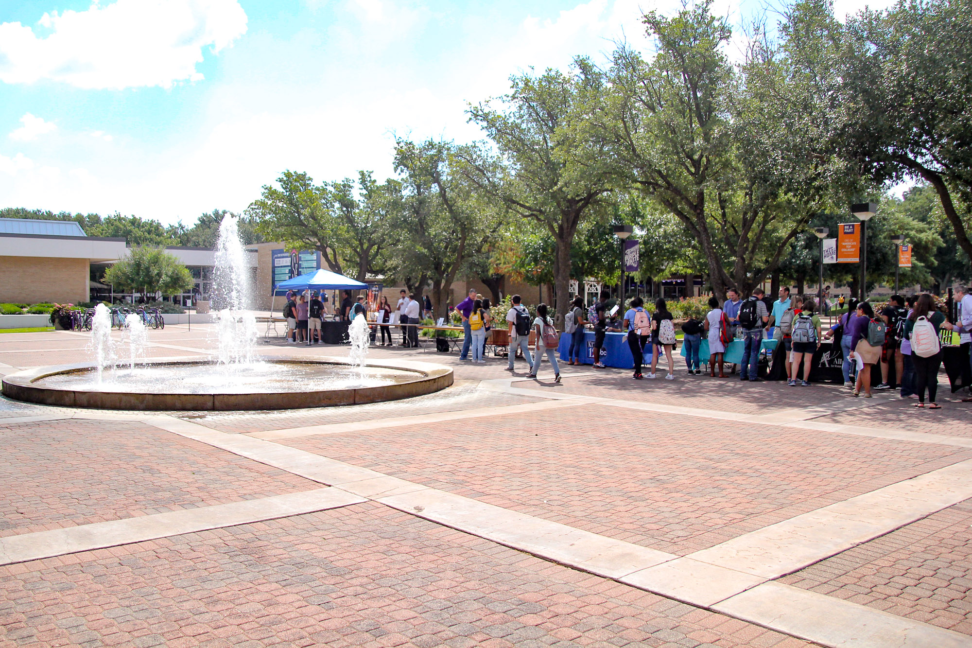 2019-09-04-0673-DPMx - Optimist