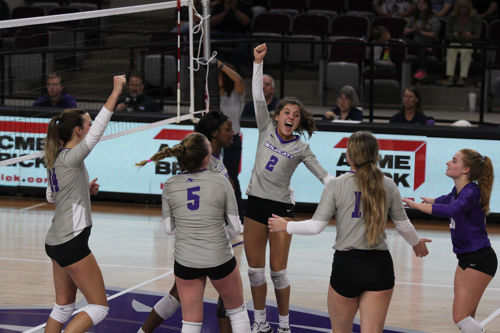 Shelstead, Wildcats break losing streak against New Orleans - The Optimist