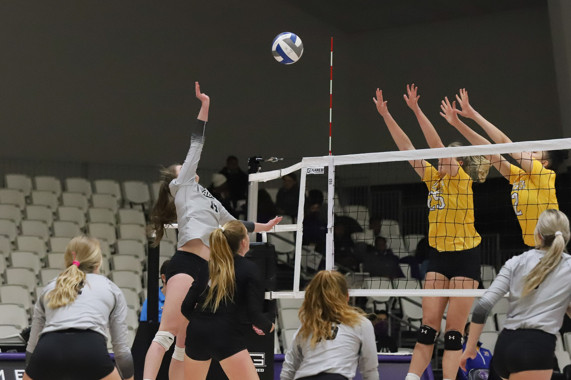 Gallery: Indoor volleyball triumphs over McNeese Cowgirls - The Optimist