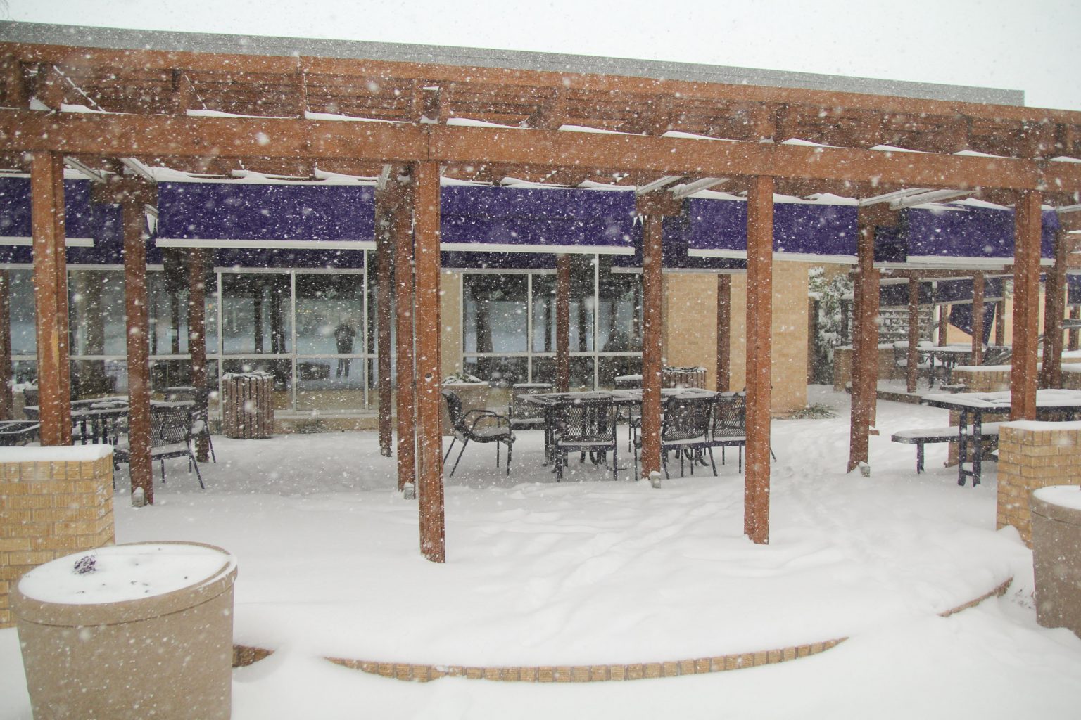 2021-02-14-0001-DPMx - The Optimist