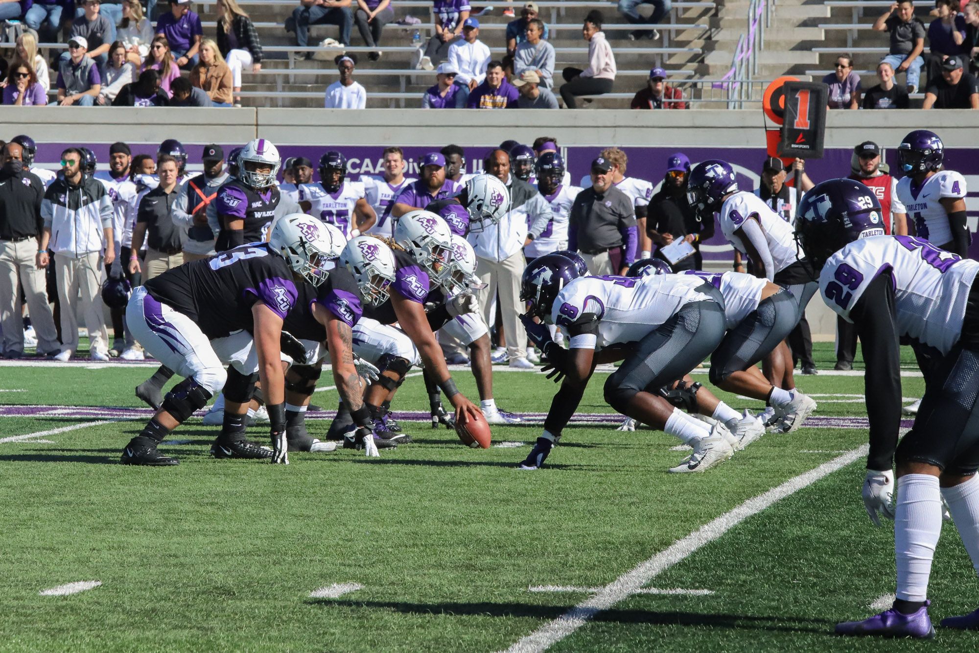 Wildcats prepare for FCS National Champion Sam Houston for final home ...