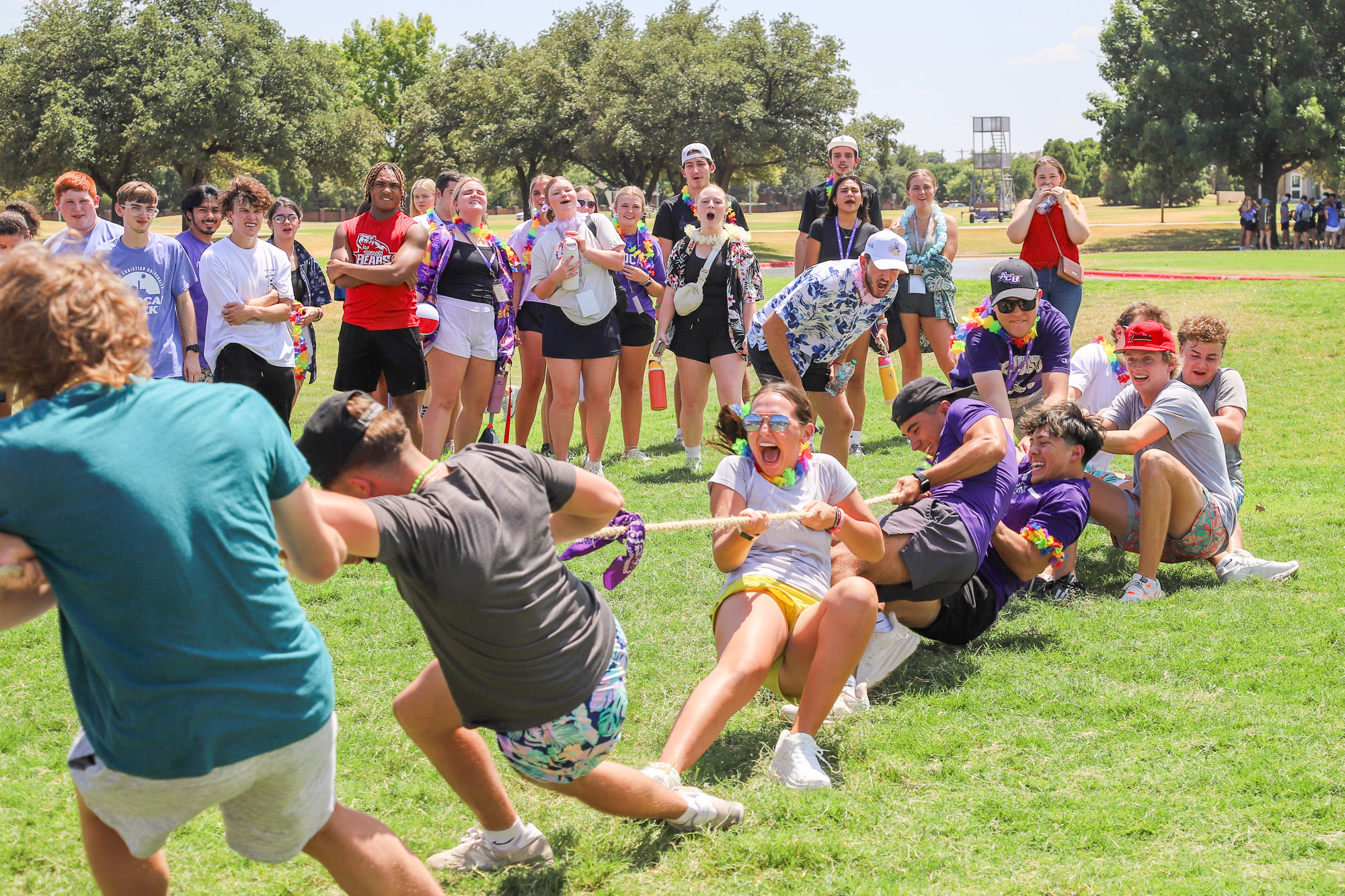 Gallery: New Wildcats fight for victory during Mentor Group Olympics ...