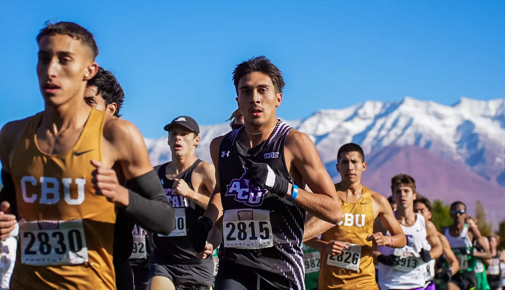 Freshman standout makes ACU cross country history, breaks 8k record ...