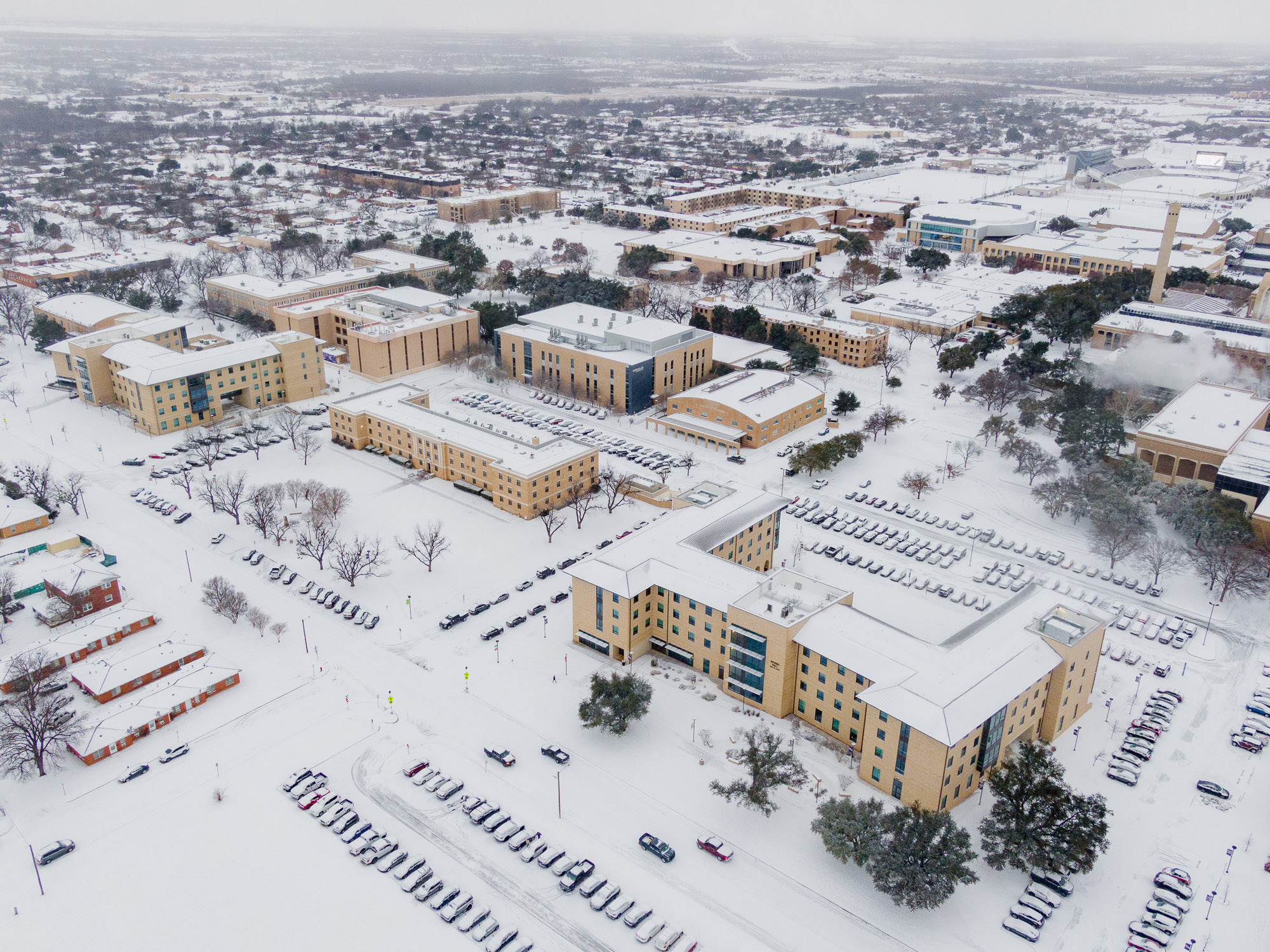 2026-01-24-0234-DEC - The Optimist