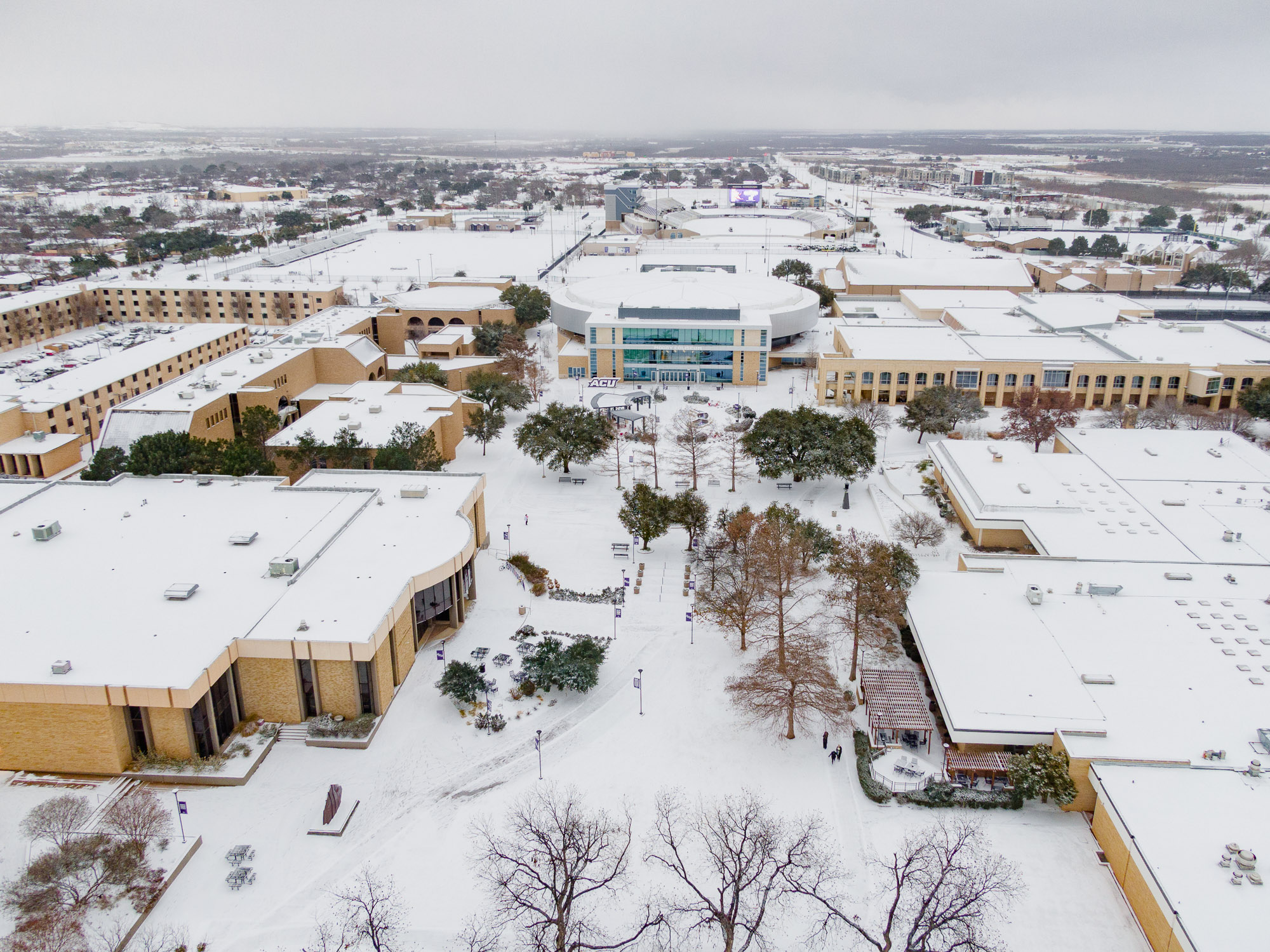 2026-01-24-0246-DEC - The Optimist